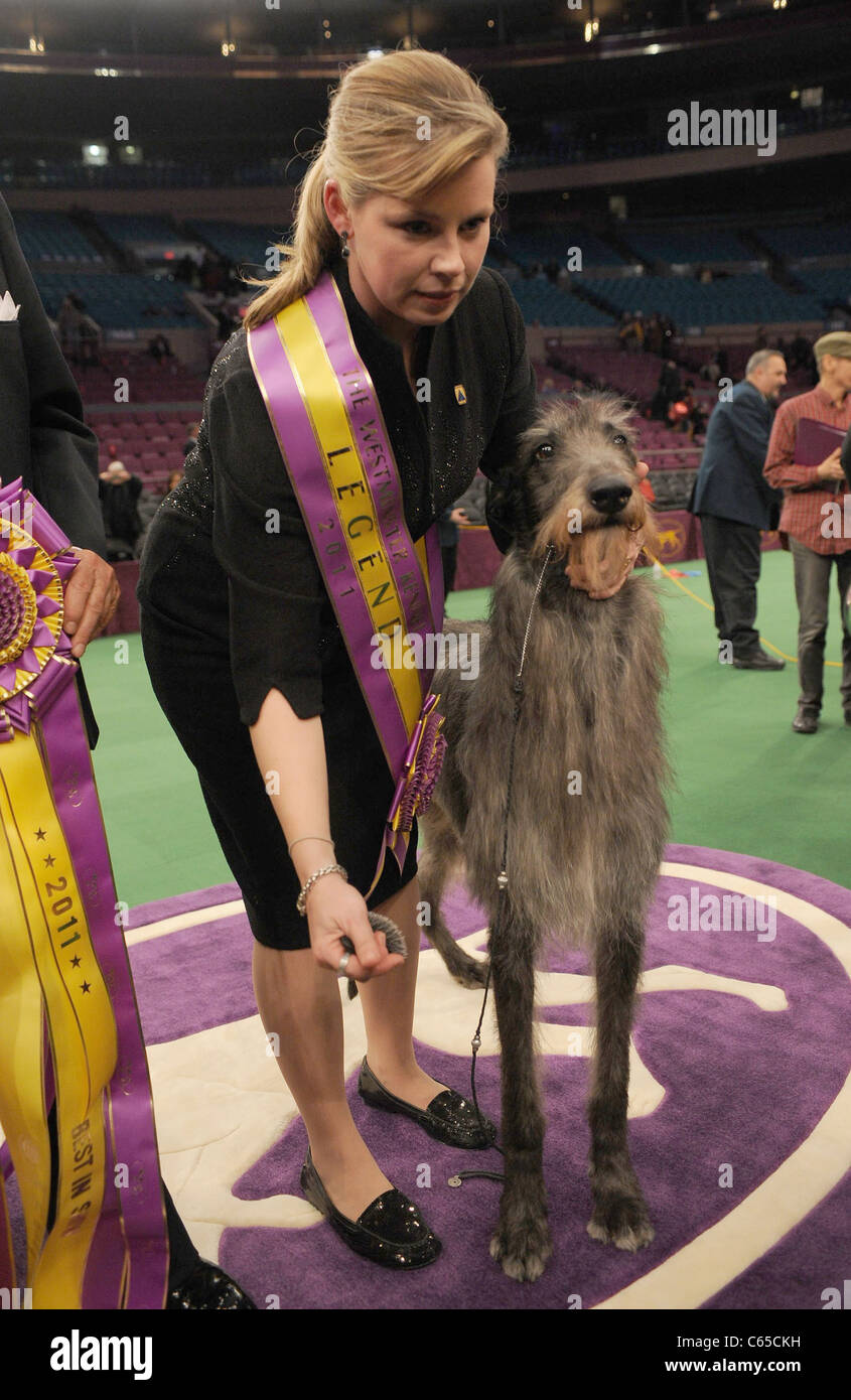 Angela Lloyd, Hickory the Scottish Deerhound inside for Best in Show ...