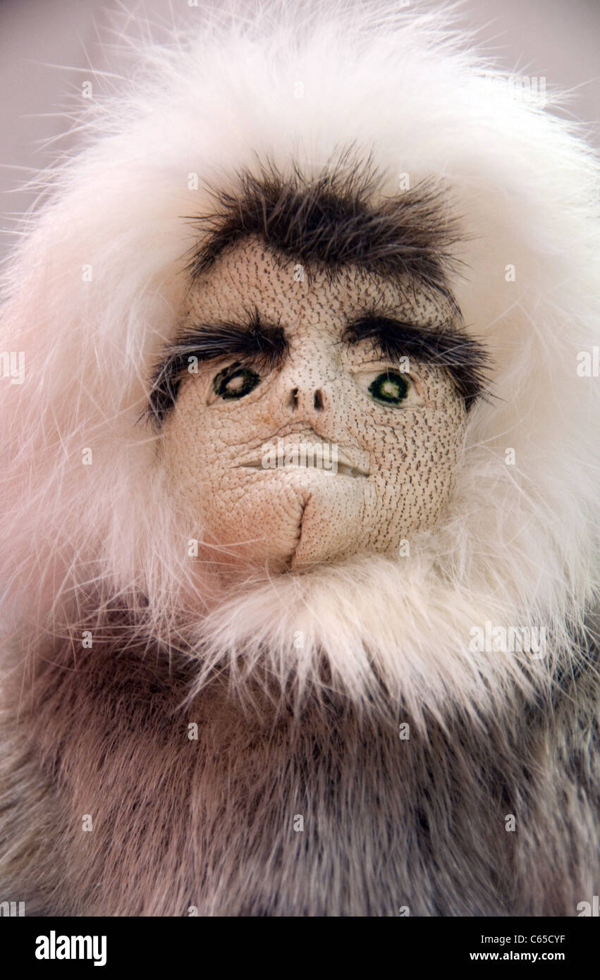 An young male Inuit or Eskimo doll wearing a parka, on display at the ...
