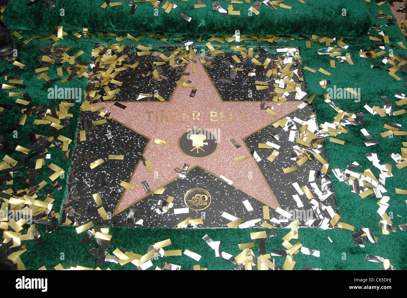 Tinkerbell Night Sky