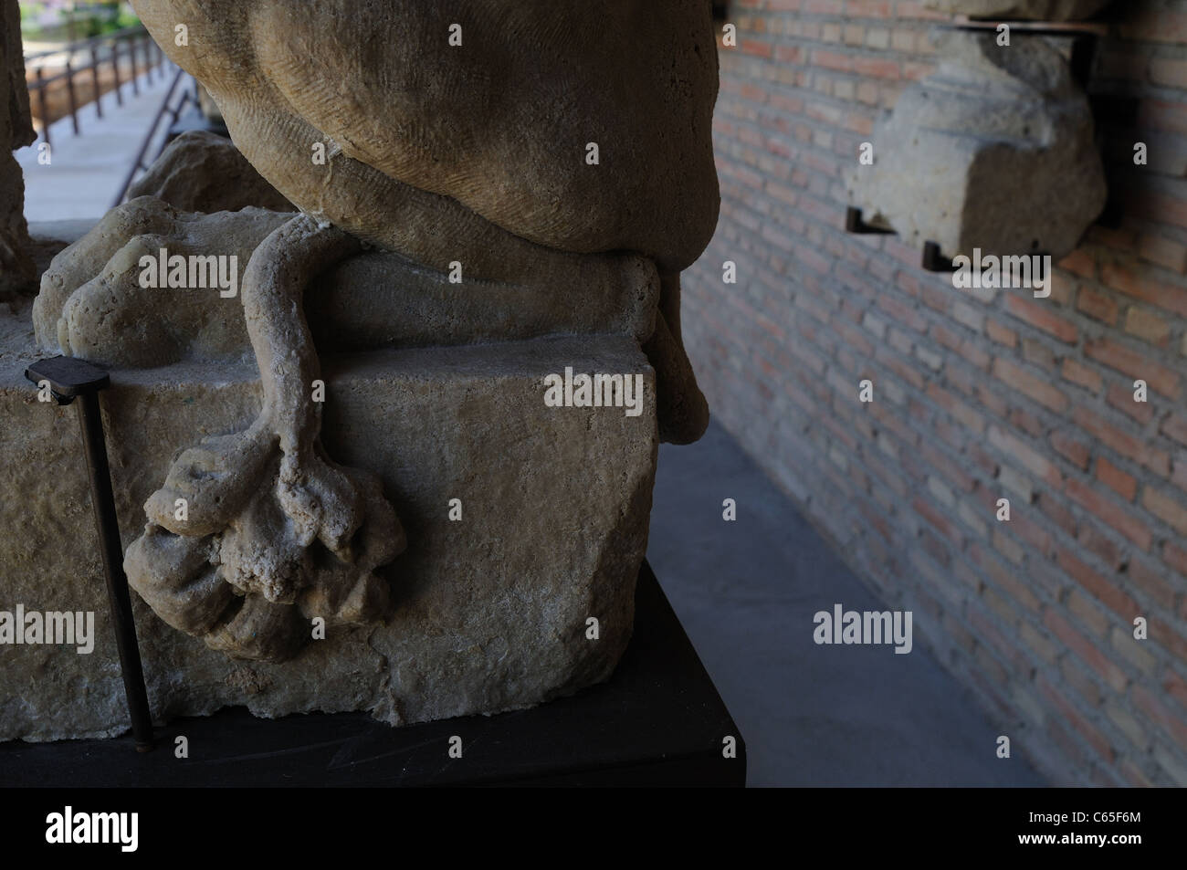 Chimera tail . Renaissance ( Plateresque ) belonging to the ANTIQUARIUM ...