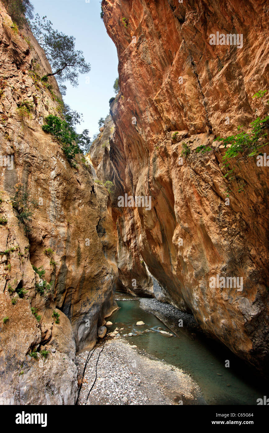 Sarakina Gorge close to Mythoi village, about 20 km west of Ierapetra ...