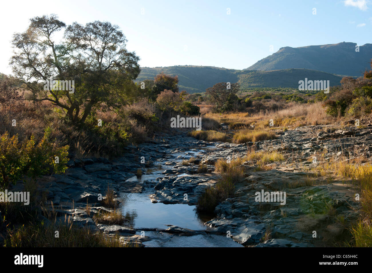 Ithala game reserve hi-res stock photography and images - Alamy