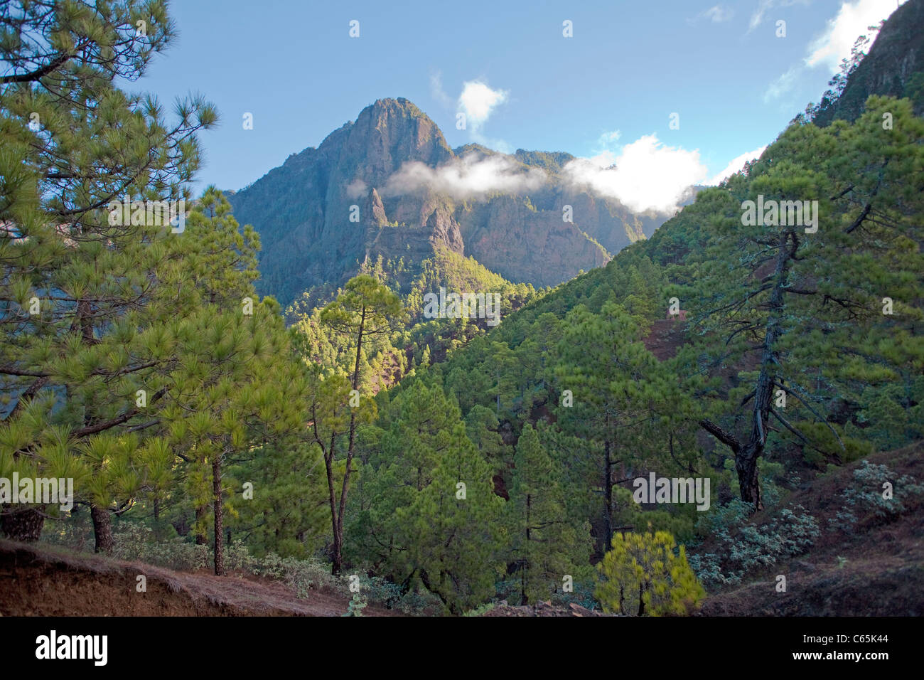 Nationalpark Caldera de Taburiente, National park Caldera de Taburiente ...
