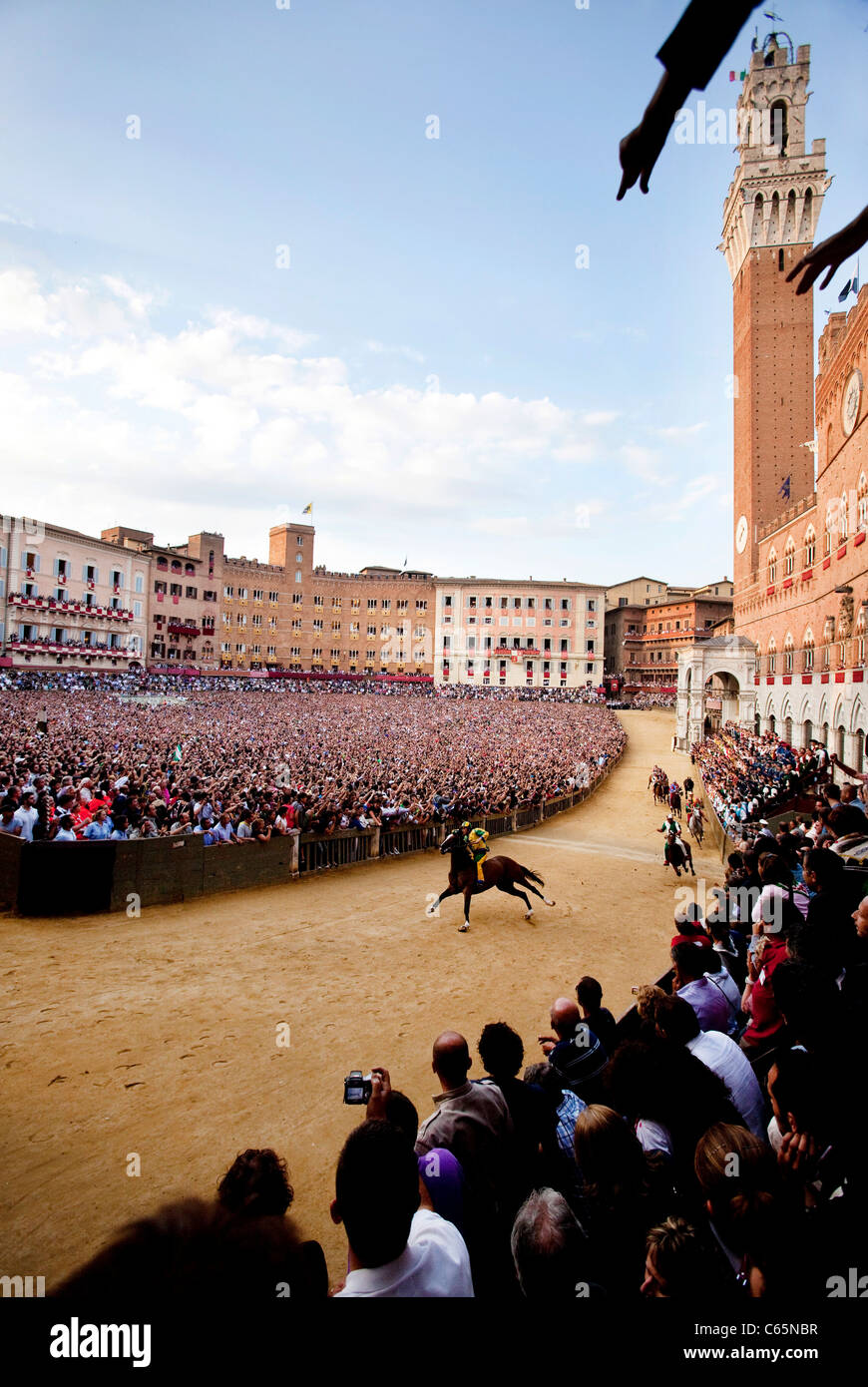 Palio of siena horses hi-res stock photography and images - Alamy