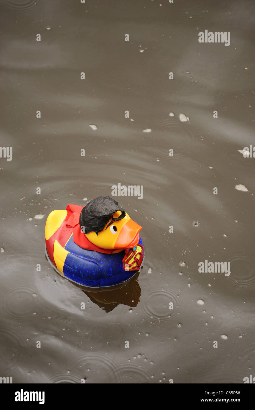 Rubber duck race hi-res stock photography and images - Alamy