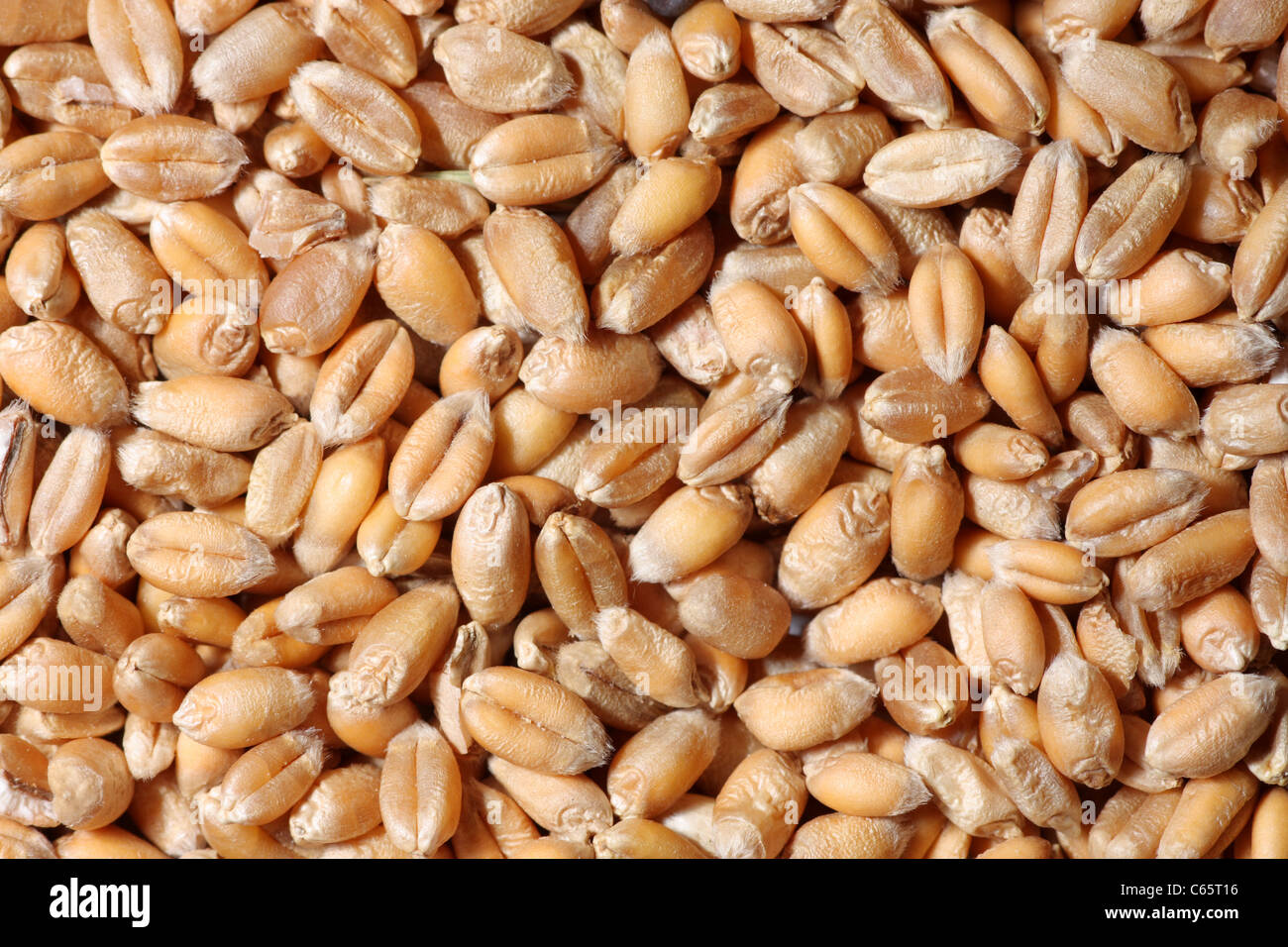 Wheat grain background texture Stock Photo - Alamy