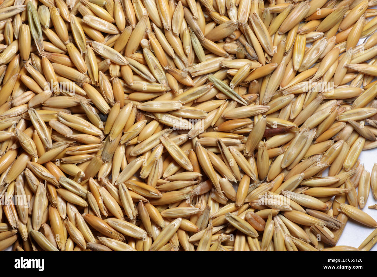 Oat seeds hi-res stock photography and images - Alamy