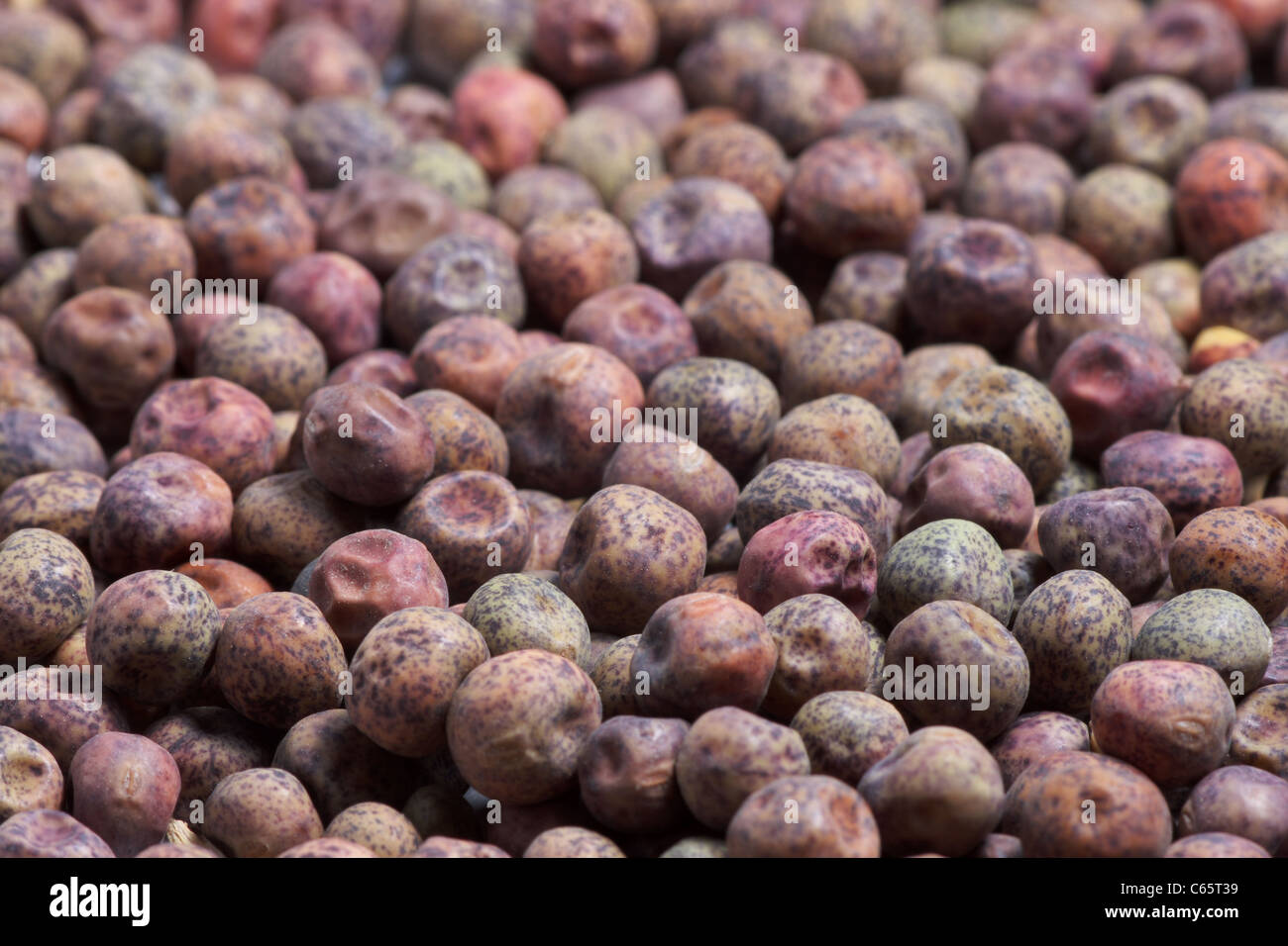 Colorful seeds close-up background texture Stock Photo - Alamy