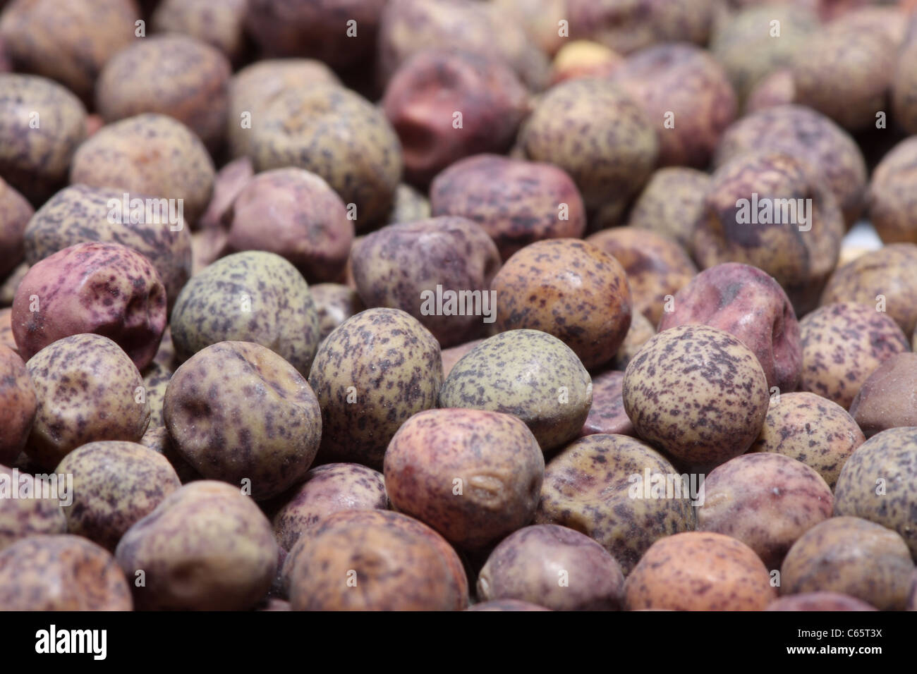 Colorful seeds close-up background texture Stock Photo - Alamy