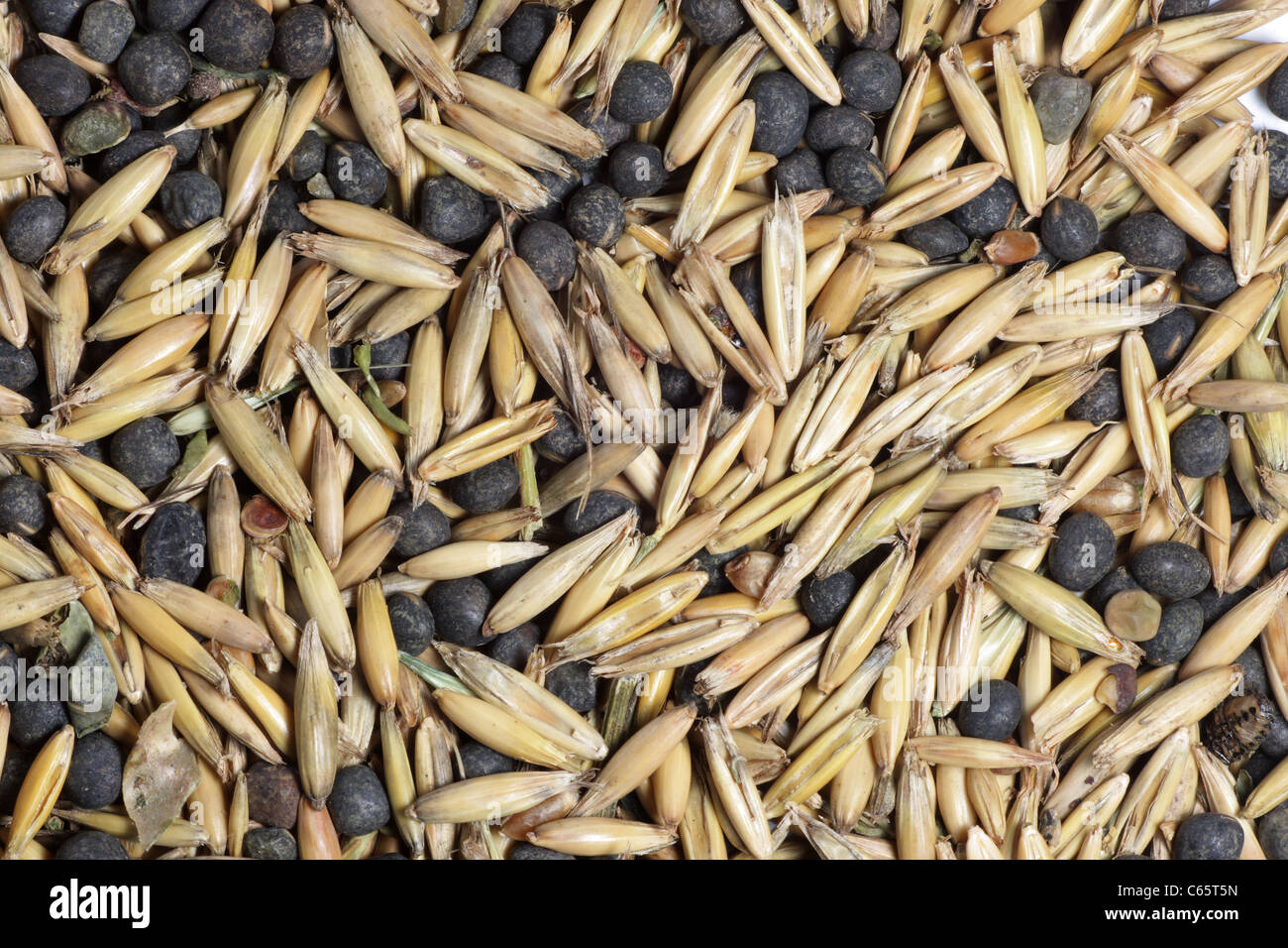 Various seeds mixture background texture Stock Photo - Alamy