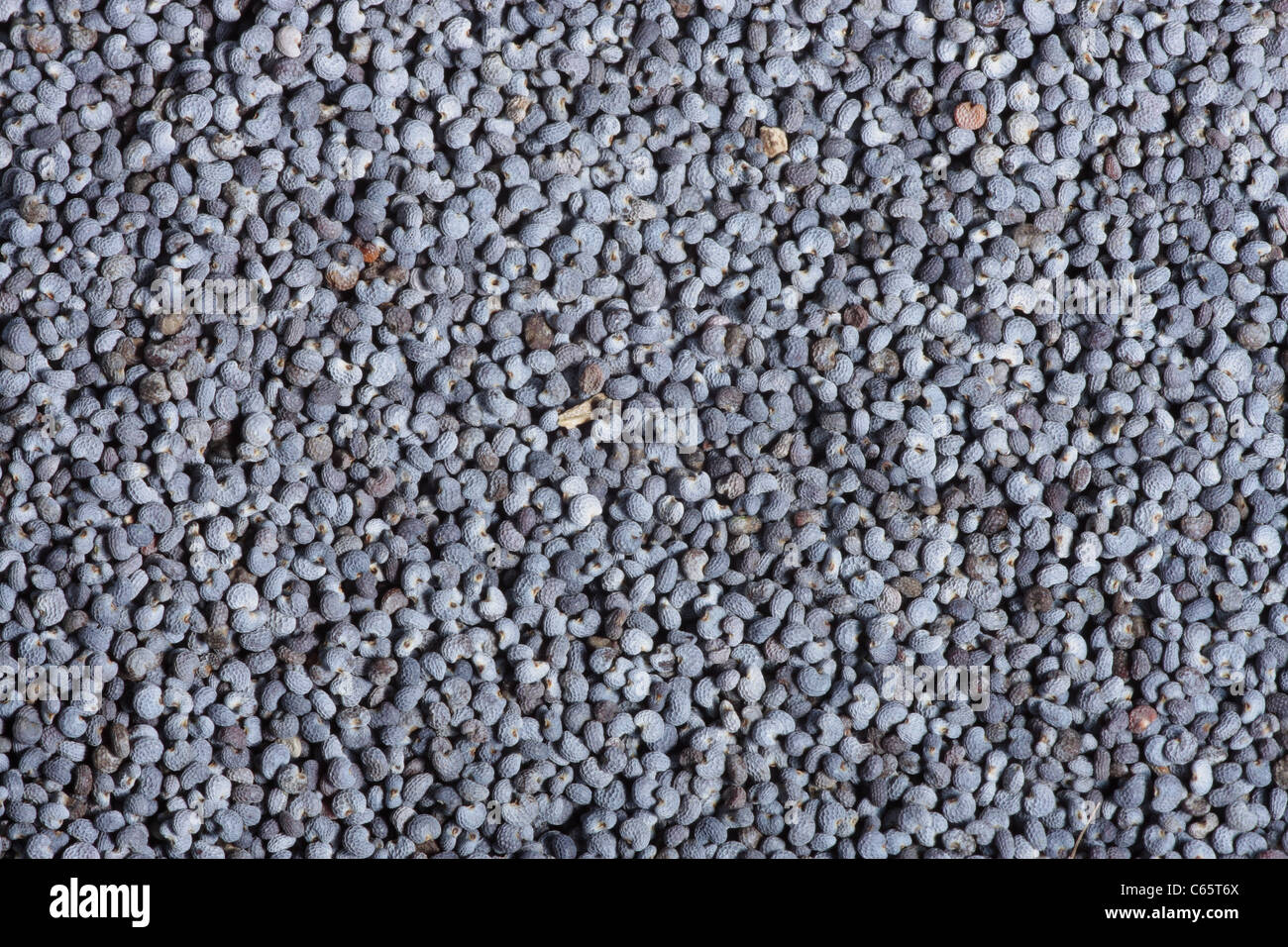 Poppy seeds close-up background texture Stock Photo - Alamy
