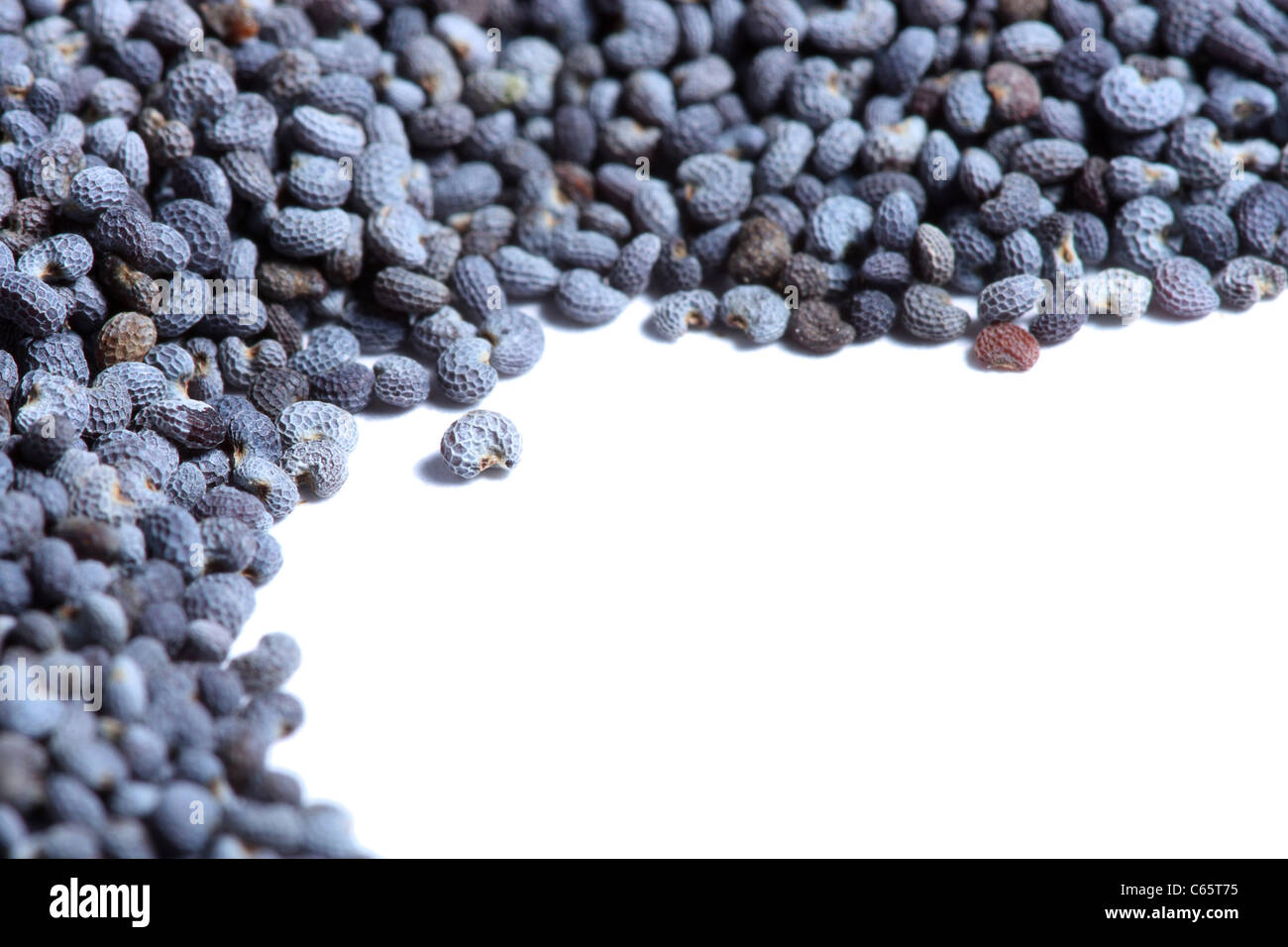 Corn poppy seeds seed hi-res stock photography and images - Alamy