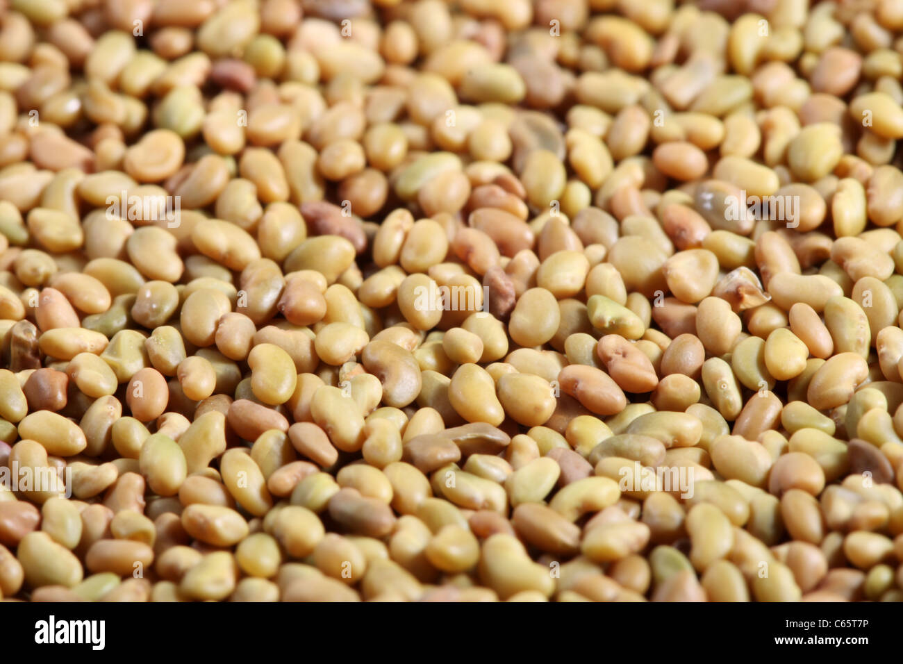 Colorful seeds mixture close-up background texture Stock Photo - Alamy