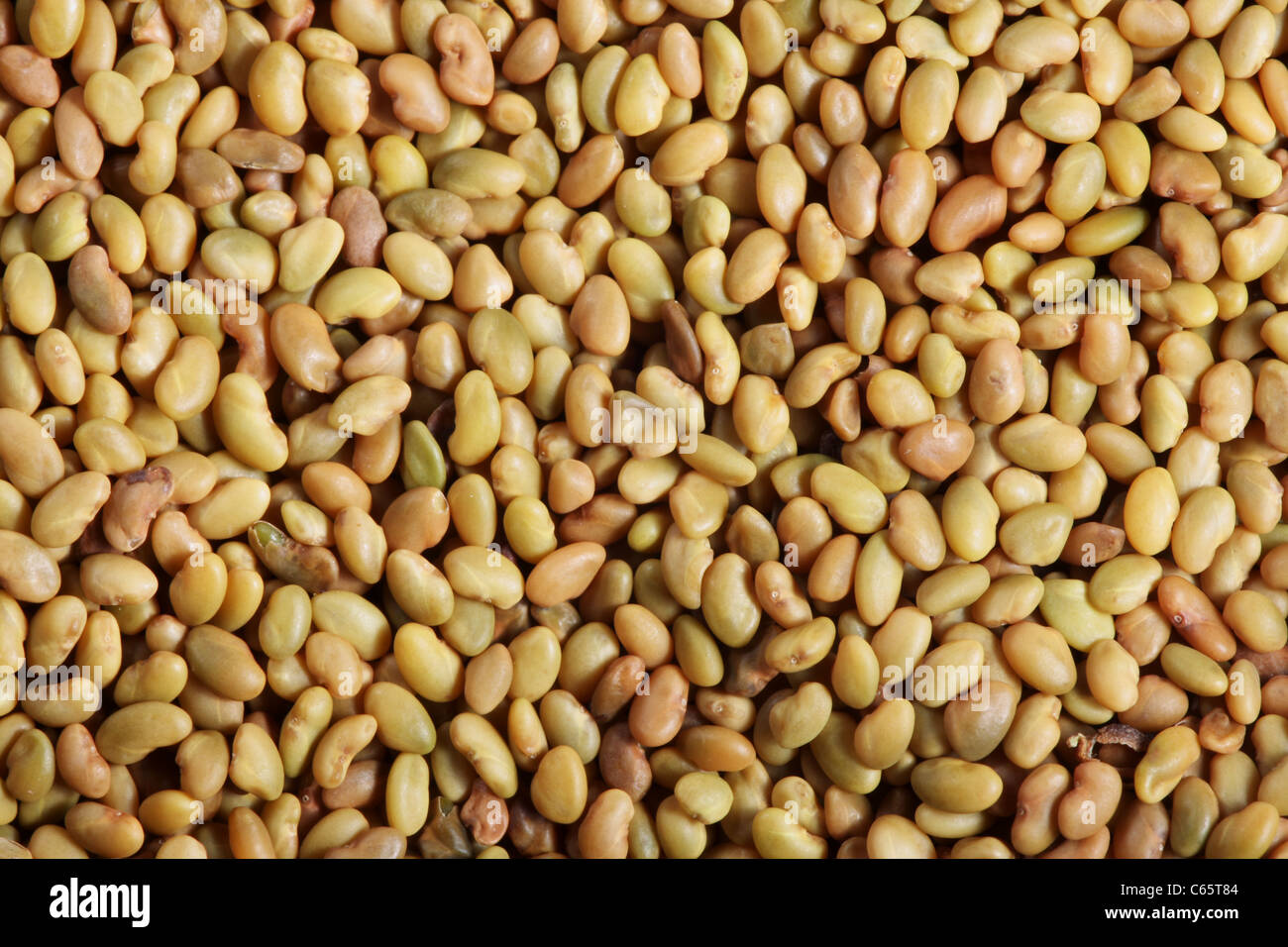 Colorful seeds mixture close-up background texture Stock Photo - Alamy