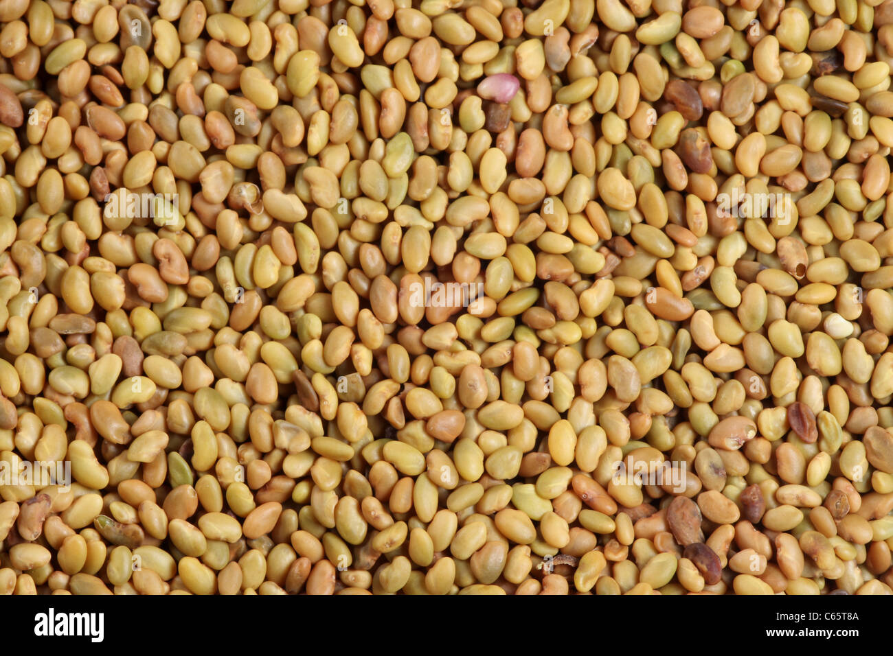 Colorful seeds mixture close-up background texture Stock Photo - Alamy