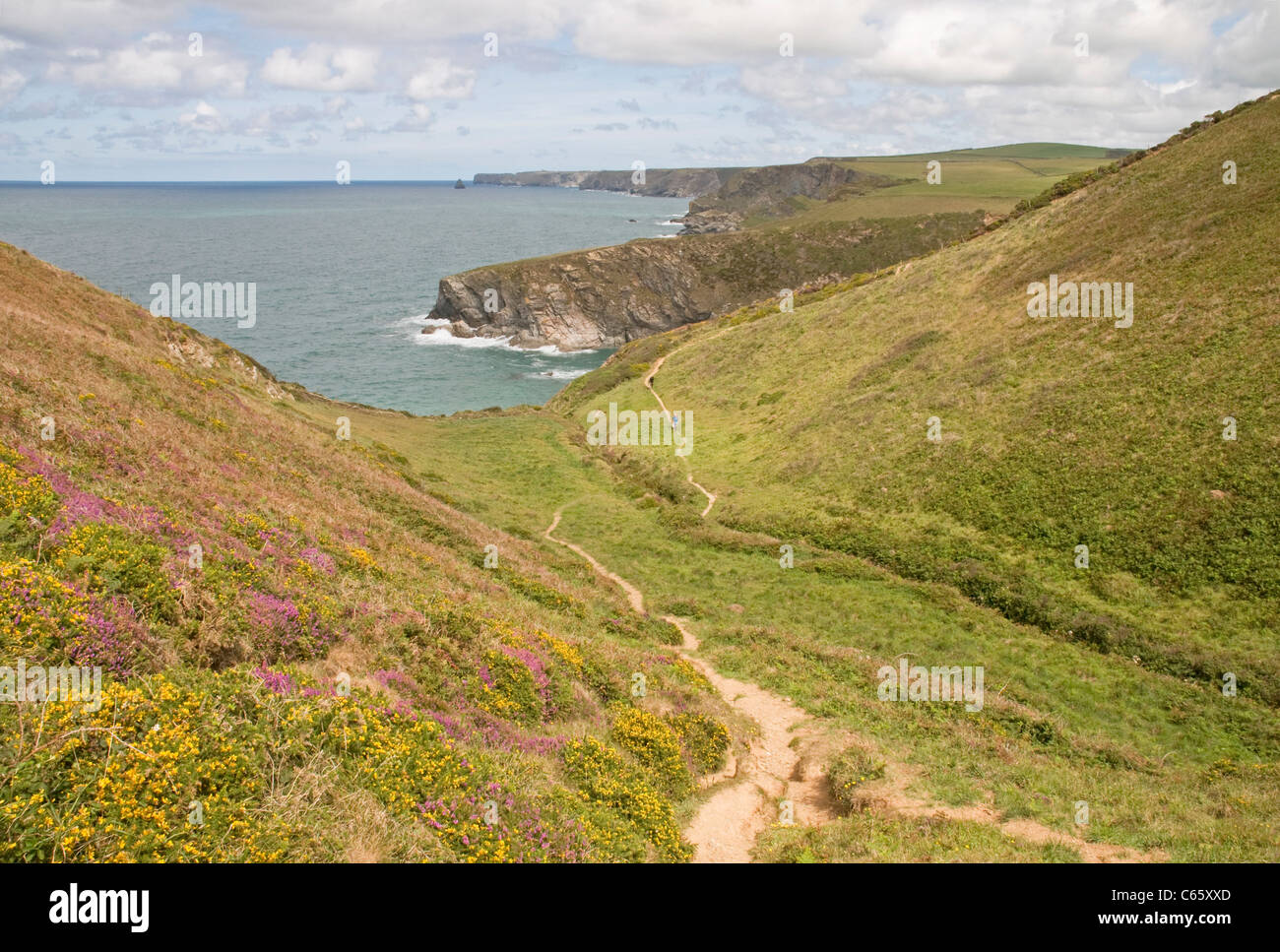 On north Cornwall's Atlantic coast path, with a good view of Delabole ...