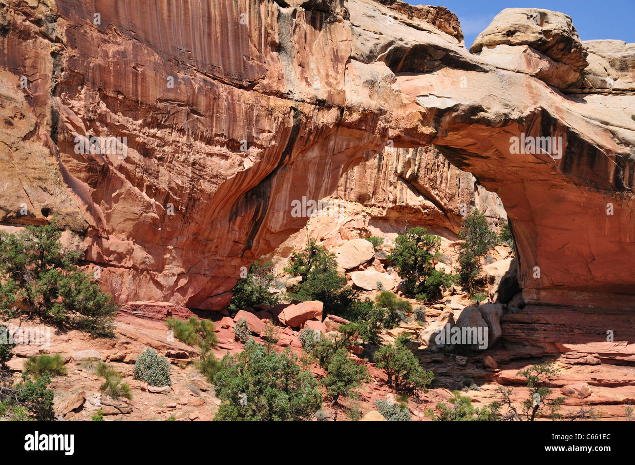 Hickman bridge in Capitol Reef National Park Stock Photo - Alamy