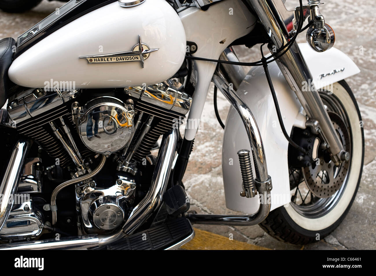 harley davidson at a motorcycle event in Milan Stock Photo - Alamy