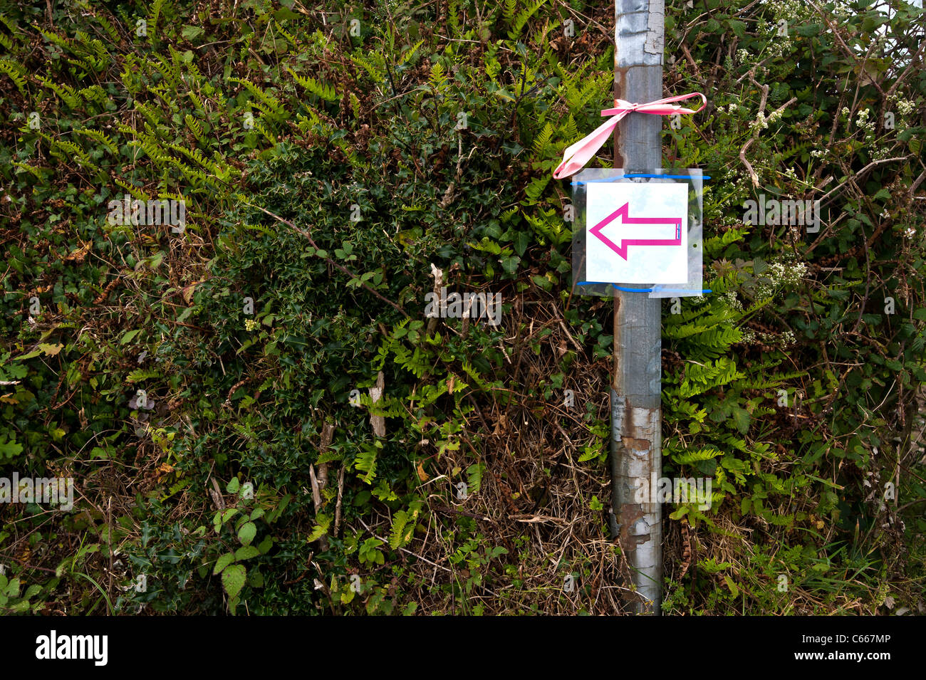 Pink traffic sign hi-res stock photography and images - Alamy