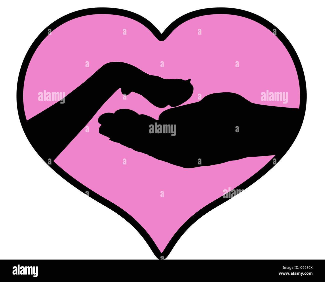 Paw in hand Stock Photo - Alamy