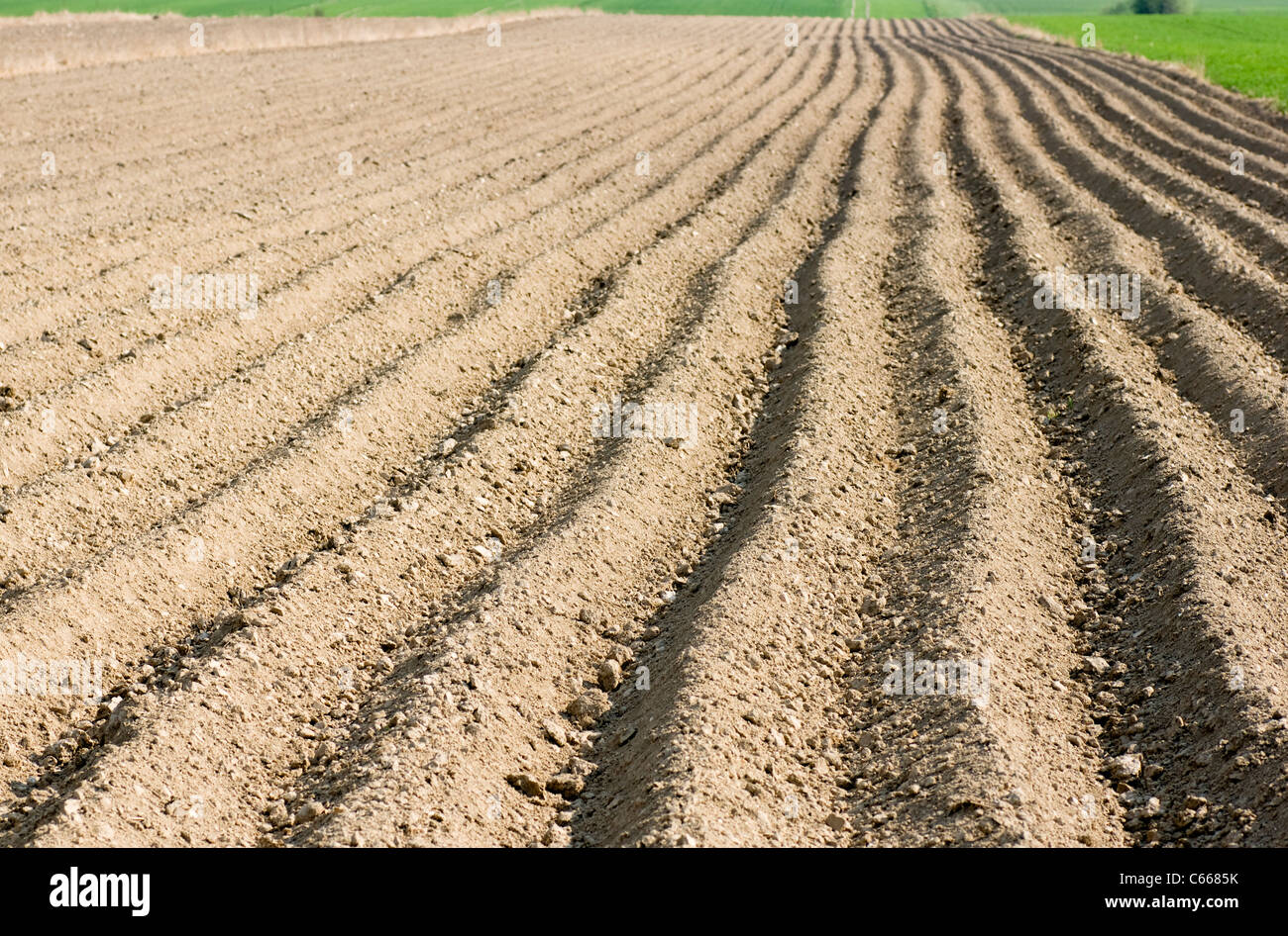 Plowed field spring agriculture hi-res stock photography and images - Alamy