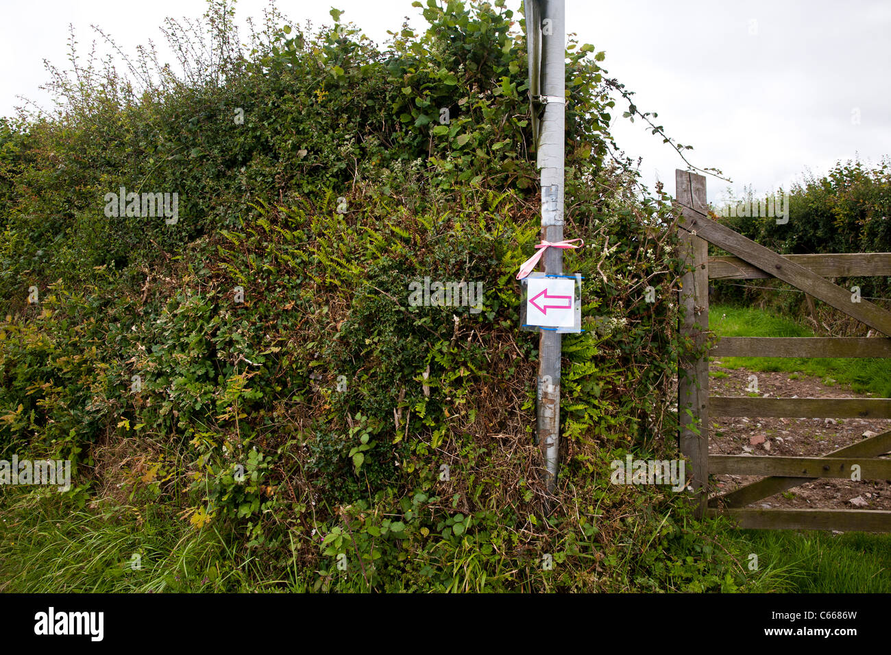 Arrow sign mounted on a street sign support post, directing traffic and ...