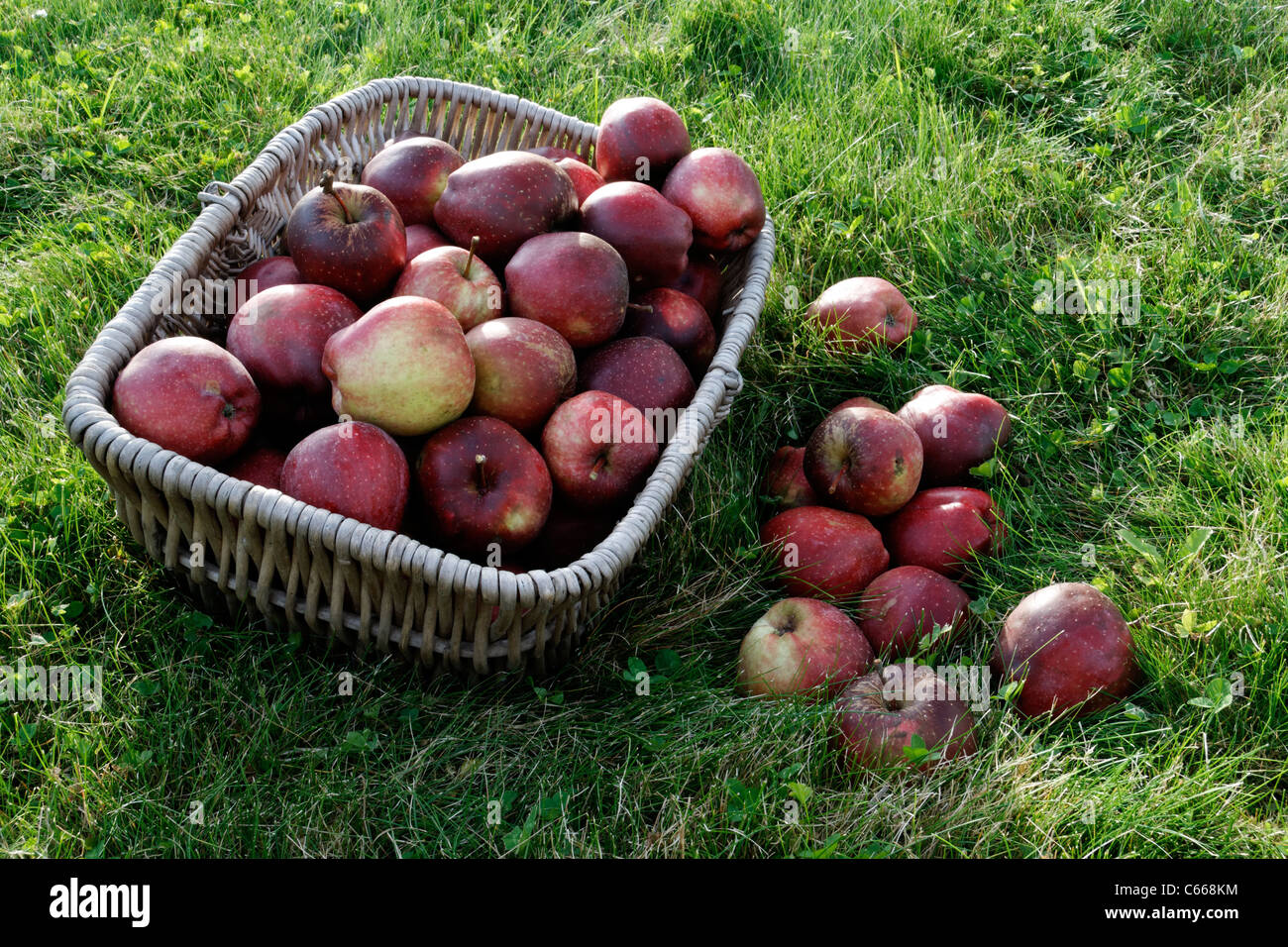 Starkinson hi-res stock photography and images - Alamy