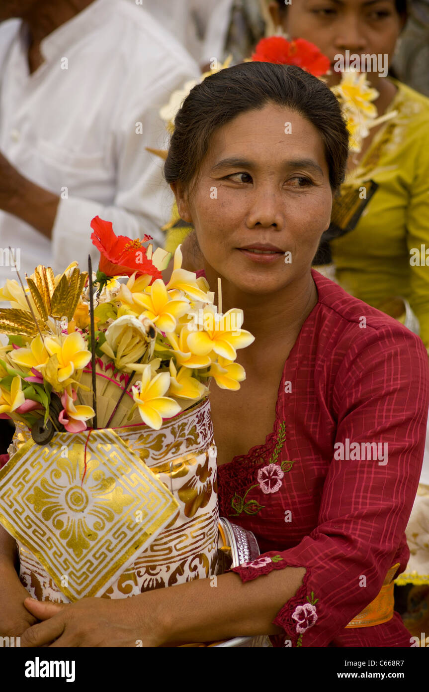 Bali national flowers frangipani hi-res stock photography and images ...