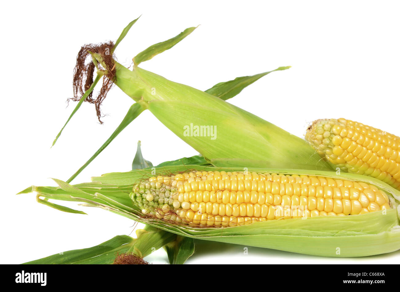 corn ripe and sweet isolated on white background Stock Photo - Alamy