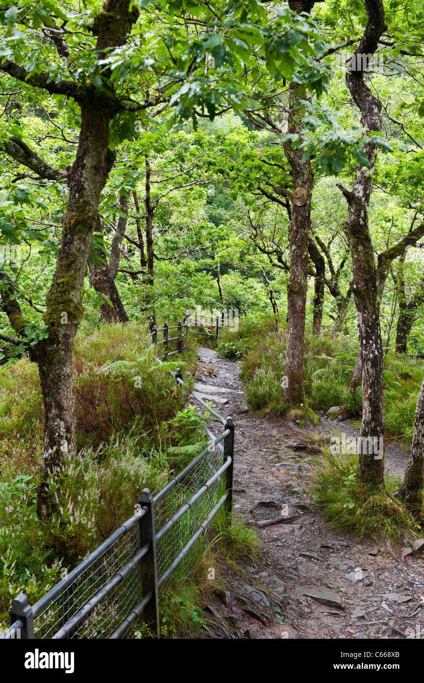 Steps hillside hi-res stock photography and images - Alamy