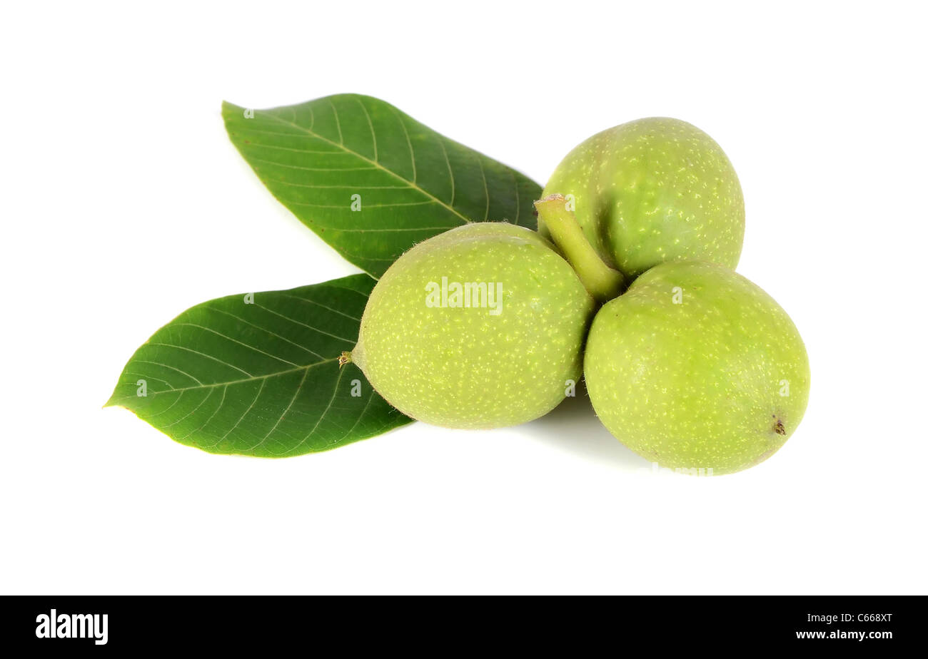 green walnuts isolated on white background Stock Photo - Alamy