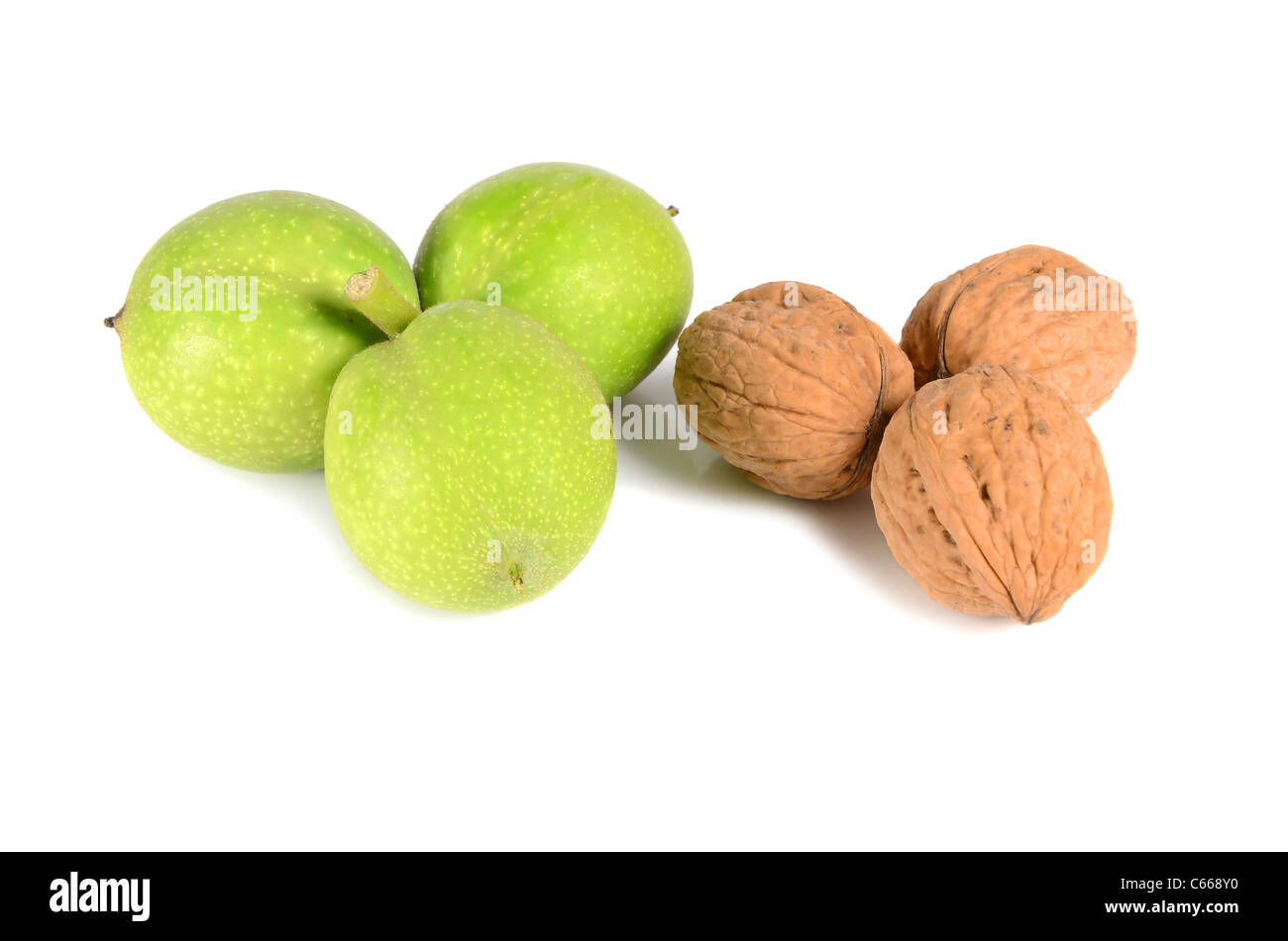 green walnuts isolated on white background Stock Photo - Alamy