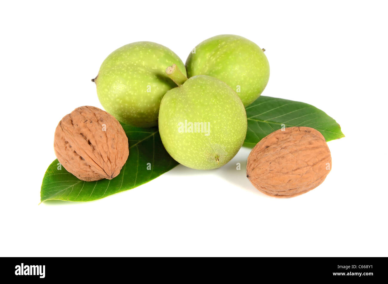 green walnuts isolated on white background Stock Photo - Alamy