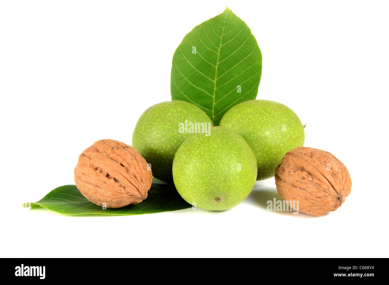 green walnuts isolated on white background Stock Photo - Alamy