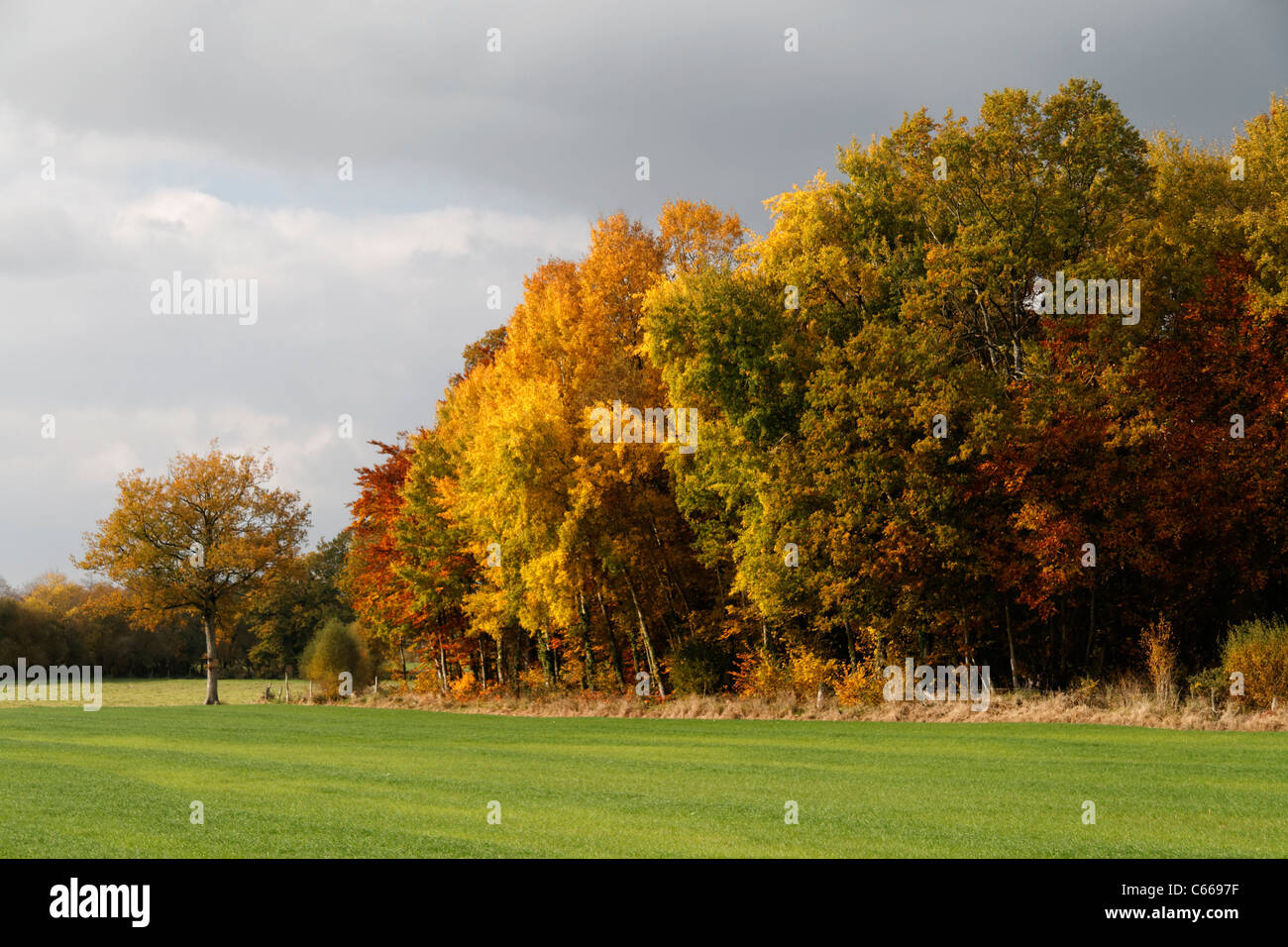Fall in france hi-res stock photography and images - Alamy