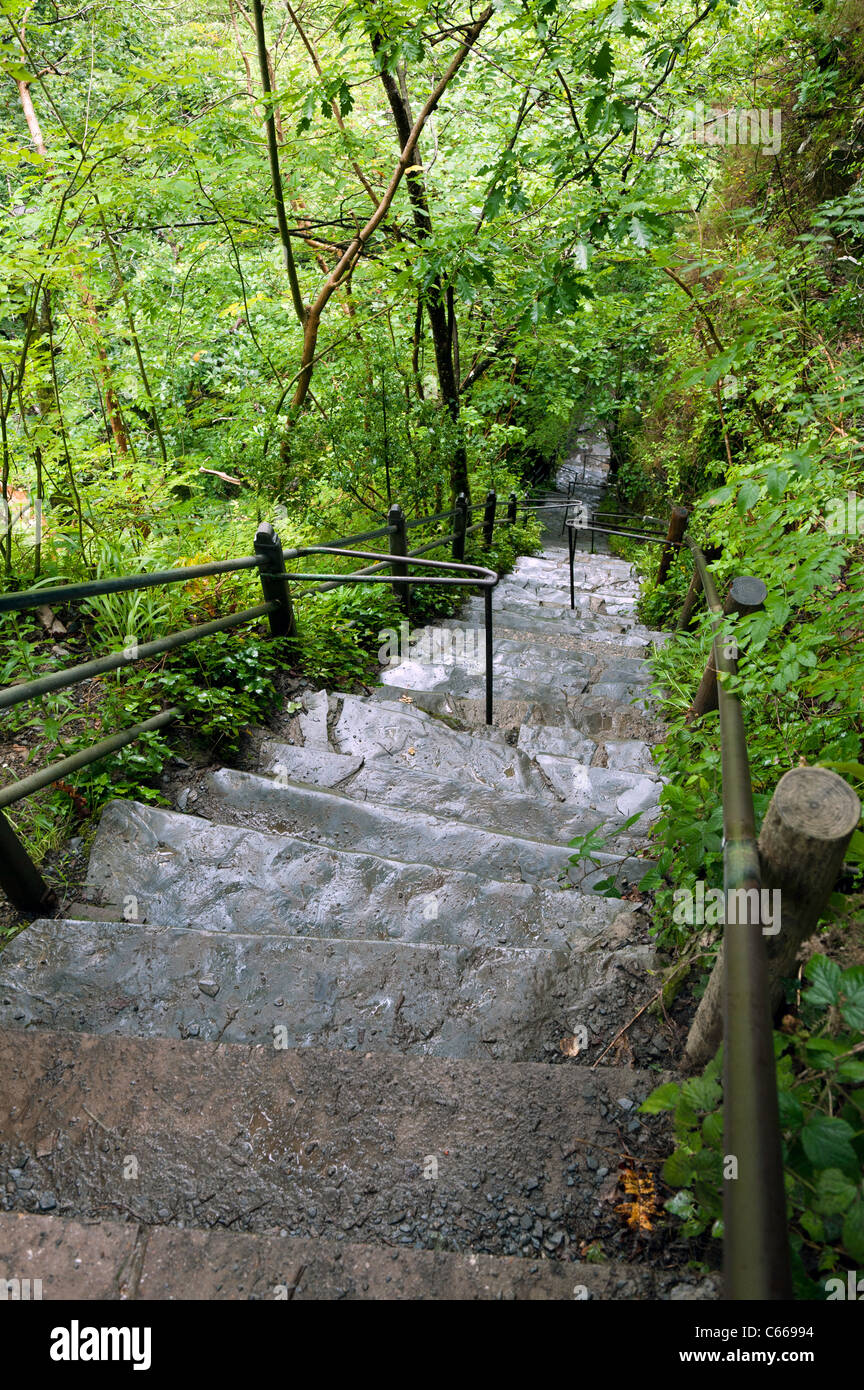Steep pathway down wooded hillside with handrails and steps at Devils ...