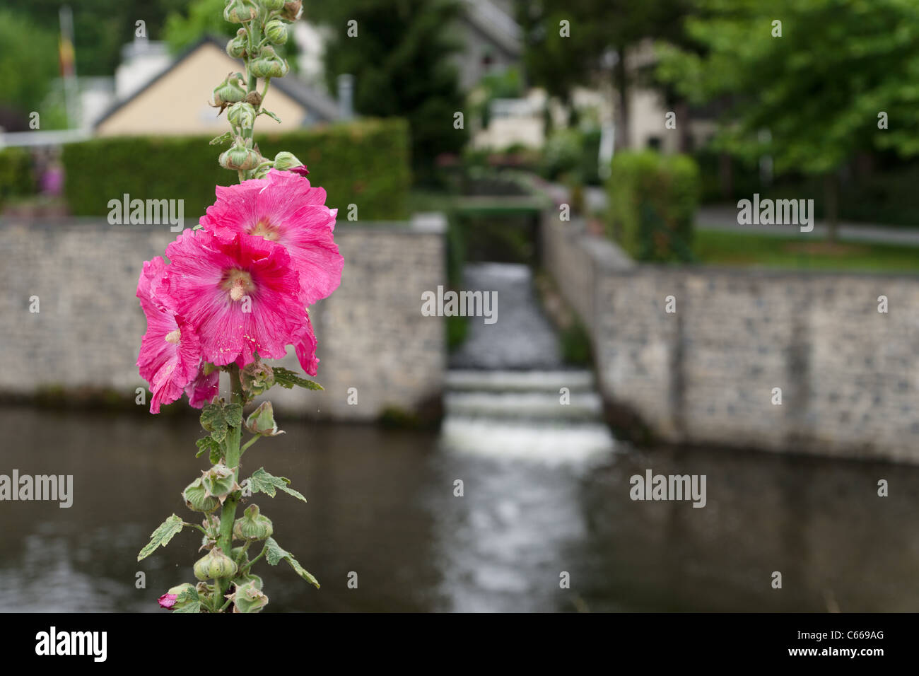 River the Lesse in Han sur Lesse, Ardennes, Belgium Stock Photo - Alamy