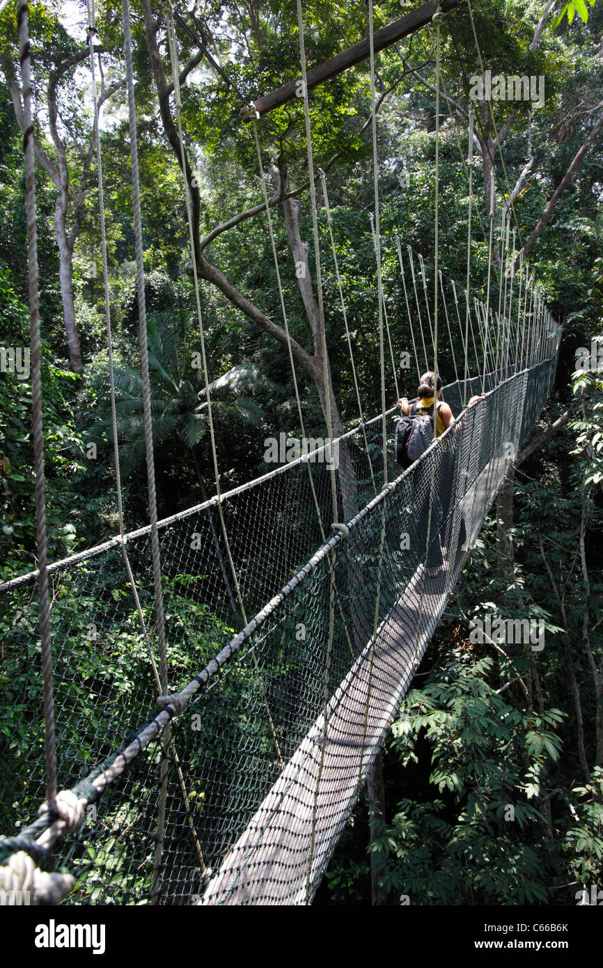 Canopy walk malaysia hi-res stock photography and images - Alamy