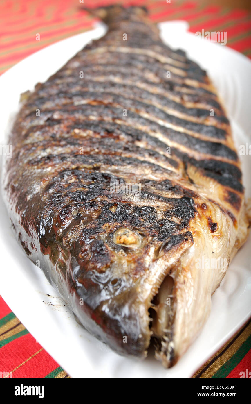 Whole fish teeth plate hi-res stock photography and images - Alamy