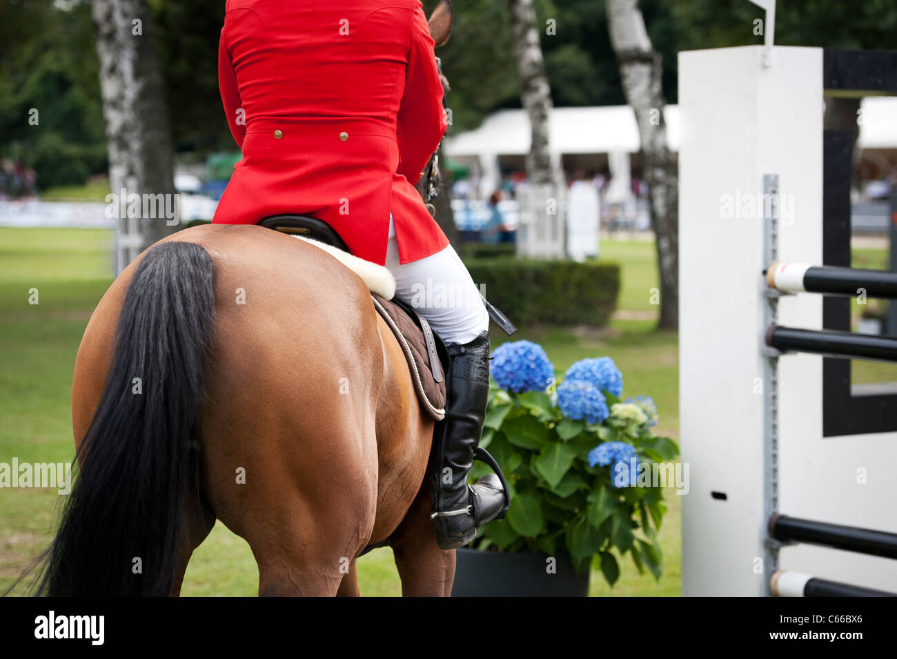 Equestrian horse with rider Stock Photo - Alamy