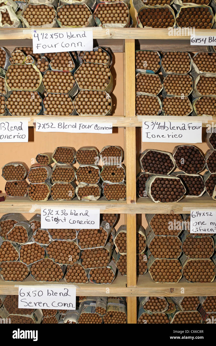 Assorted cigars ready for export at one of the city's numerous cigar ...