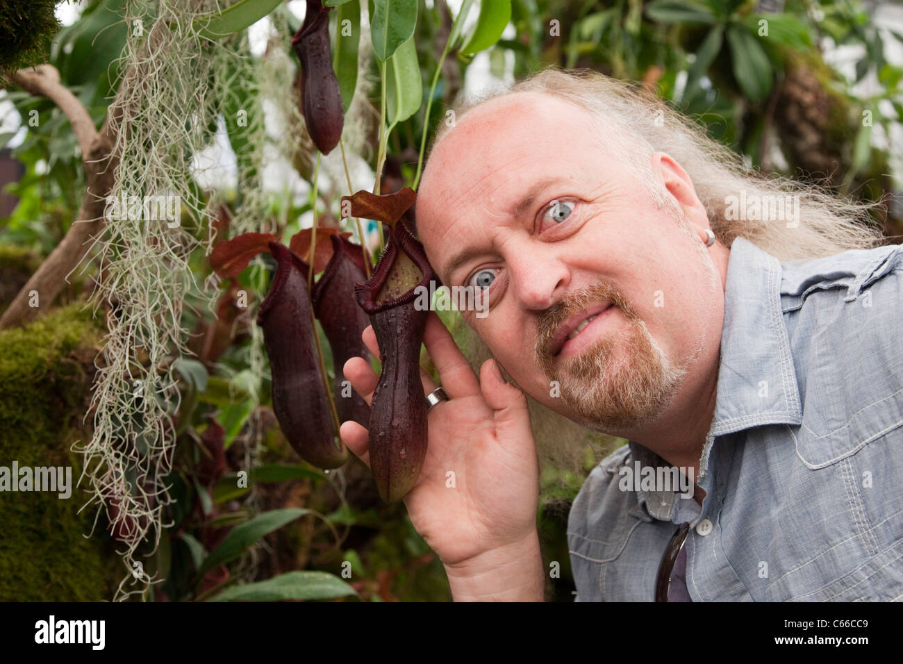 Chelsea Flower Show 2011, Comedian Bill Bailey with carnivorous plants ...