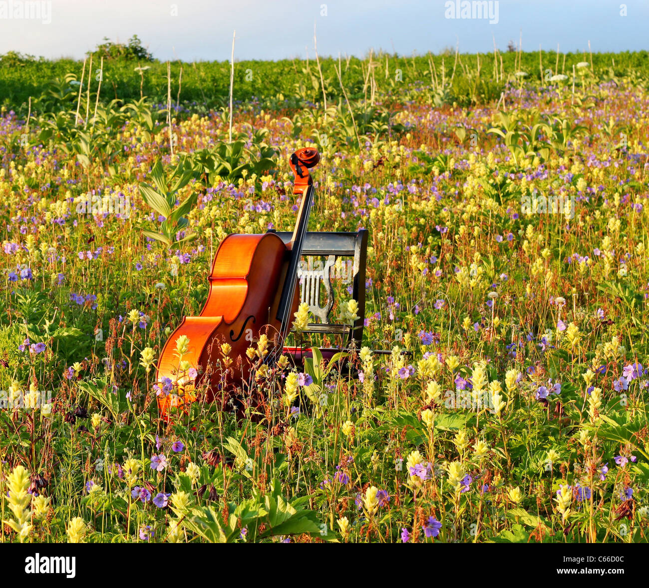 Leaning against a chair hi-res stock photography and images - Alamy