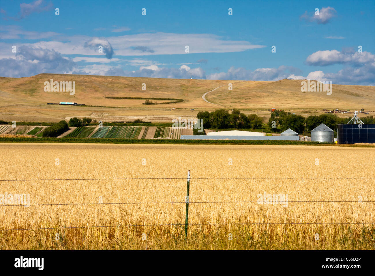 Large scale ranching hi-res stock photography and images - Alamy