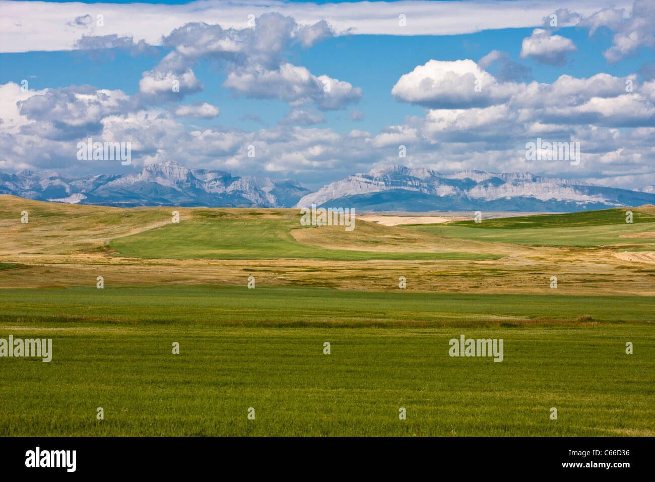 Cattle ranching and farming in Montana with the Flathead Mountain Range ...