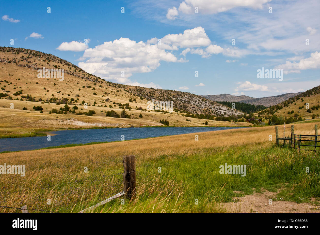 Beaverhead national forest hi-res stock photography and images - Alamy