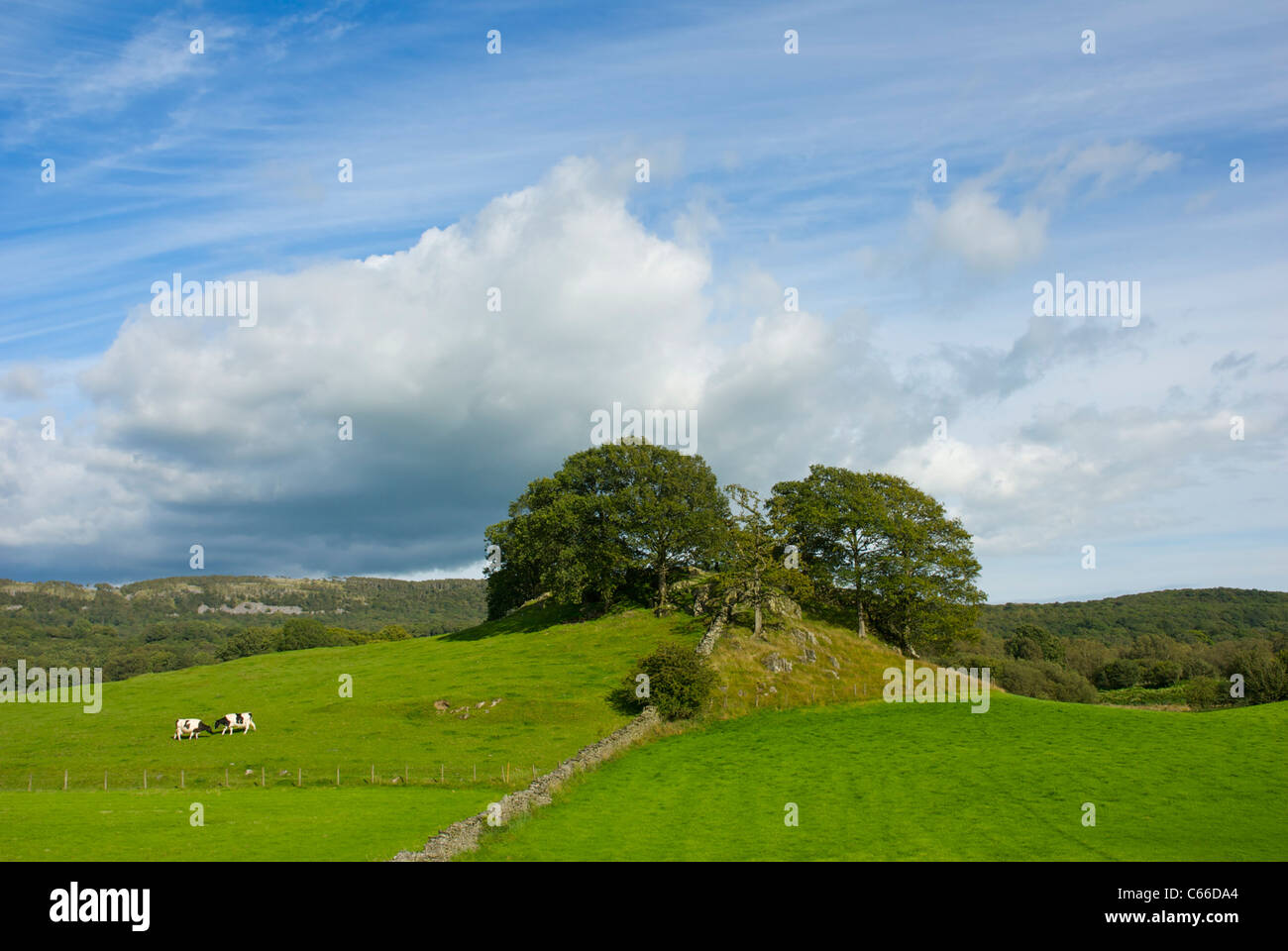 Whitbarrow Scar and the Winster Valley, South Lakeland, Lake District ...