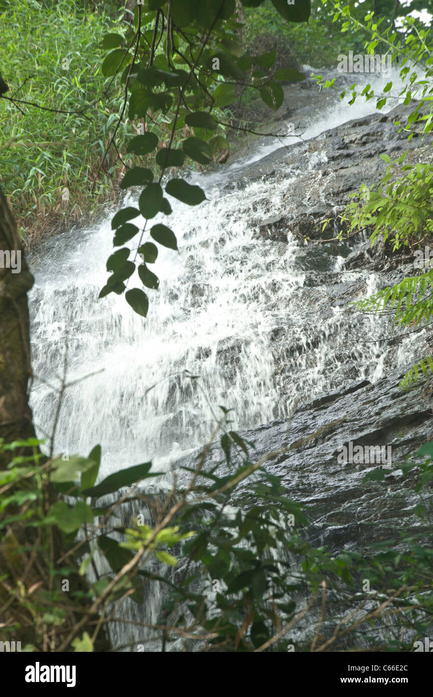 Spring greens hi-res stock photography and images - Alamy
