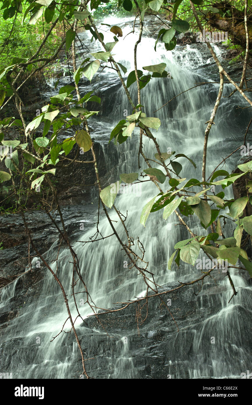 Coorg hi-res stock photography and images - Alamy