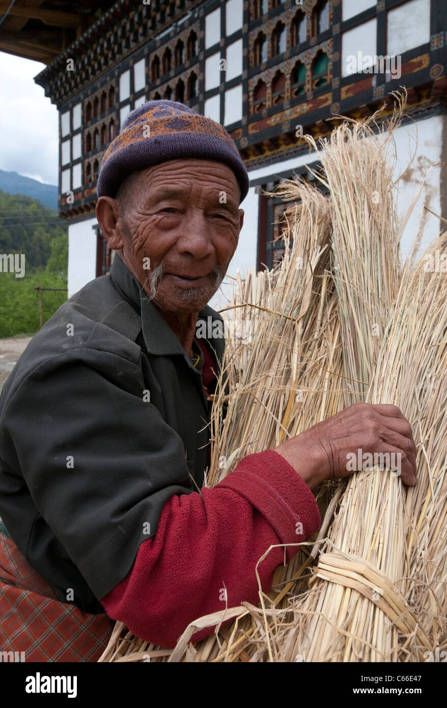 Woochu hi-res stock photography and images - Alamy